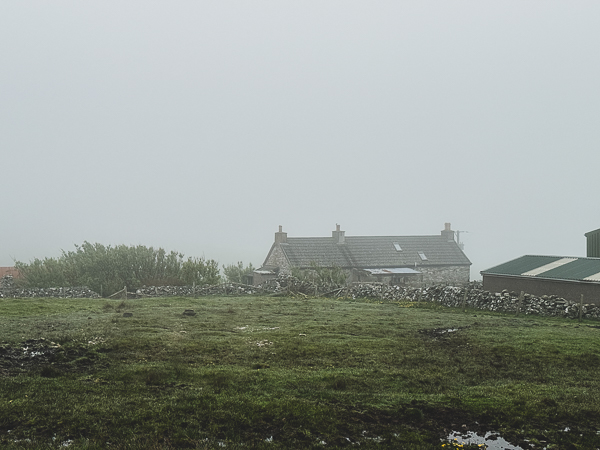 A Bit of Colour | My Shetland